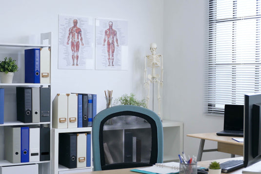 Anatomical Charts – Medisave UK