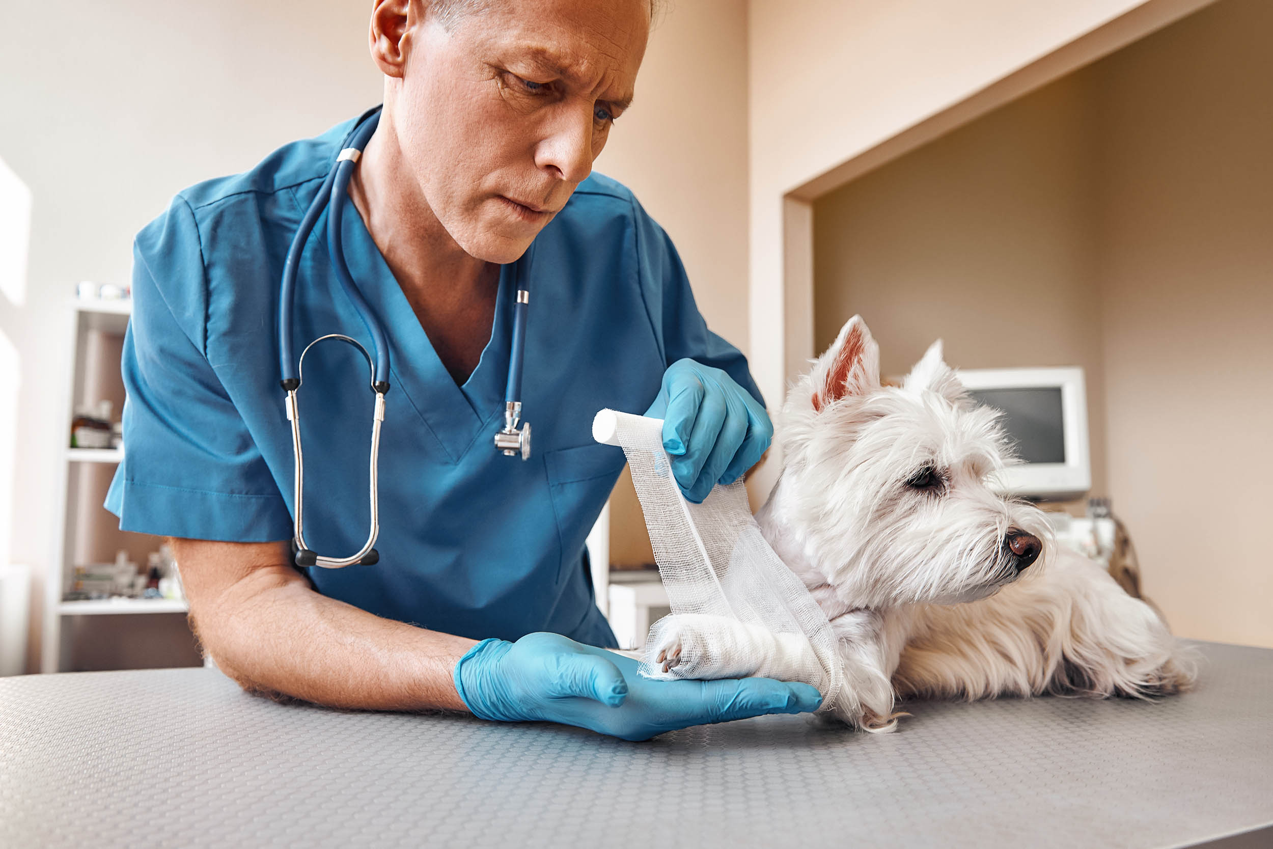 Veterinary Bandages & Tape – Medisave UK