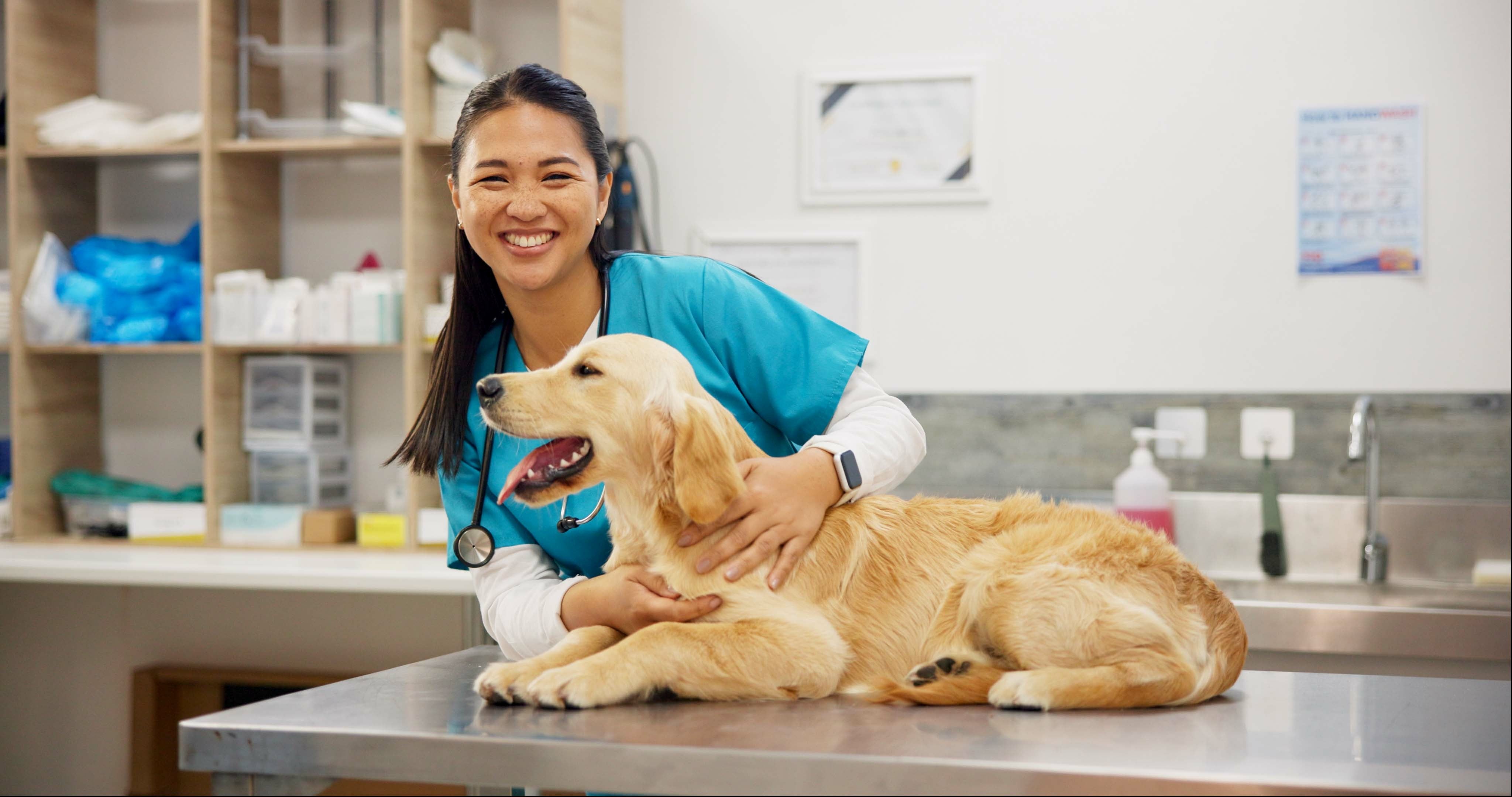 Veterinary Dressings – Medisave UK