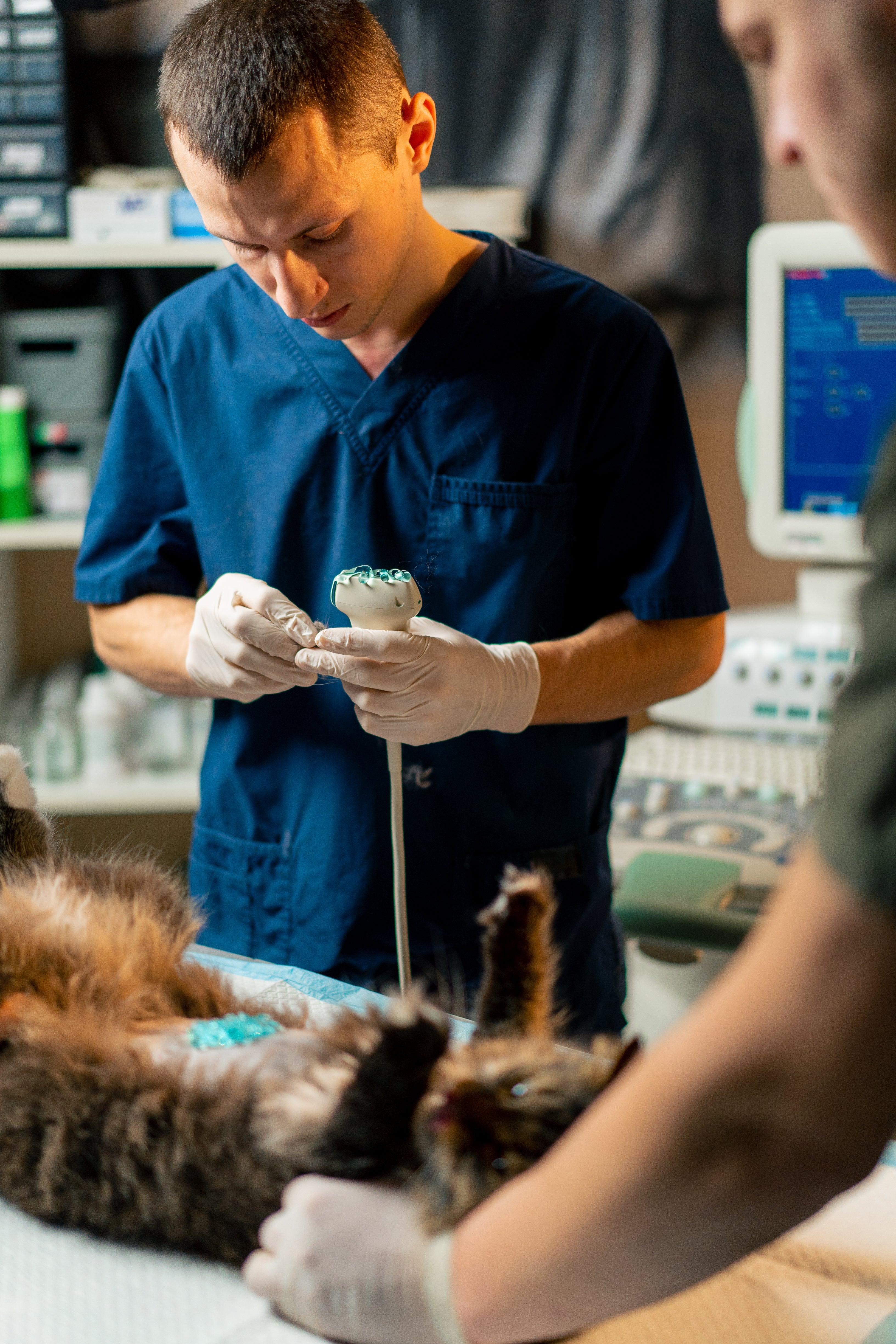 Veterinary Polypropene Holloware & Holistic – Medisave UK