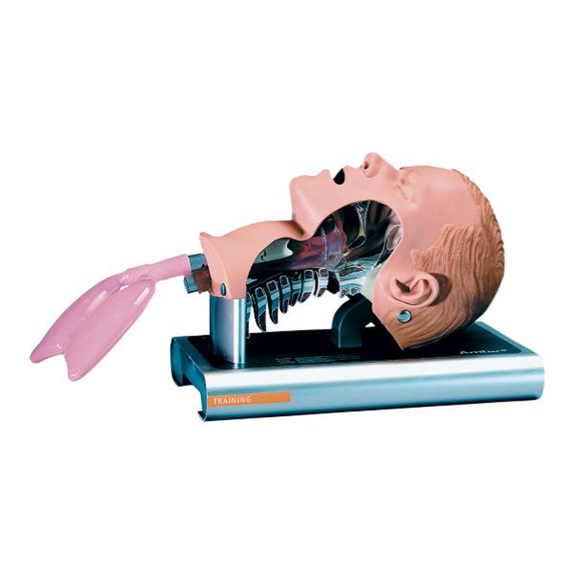 Ambu® Intubation Trainer – Medisave UK