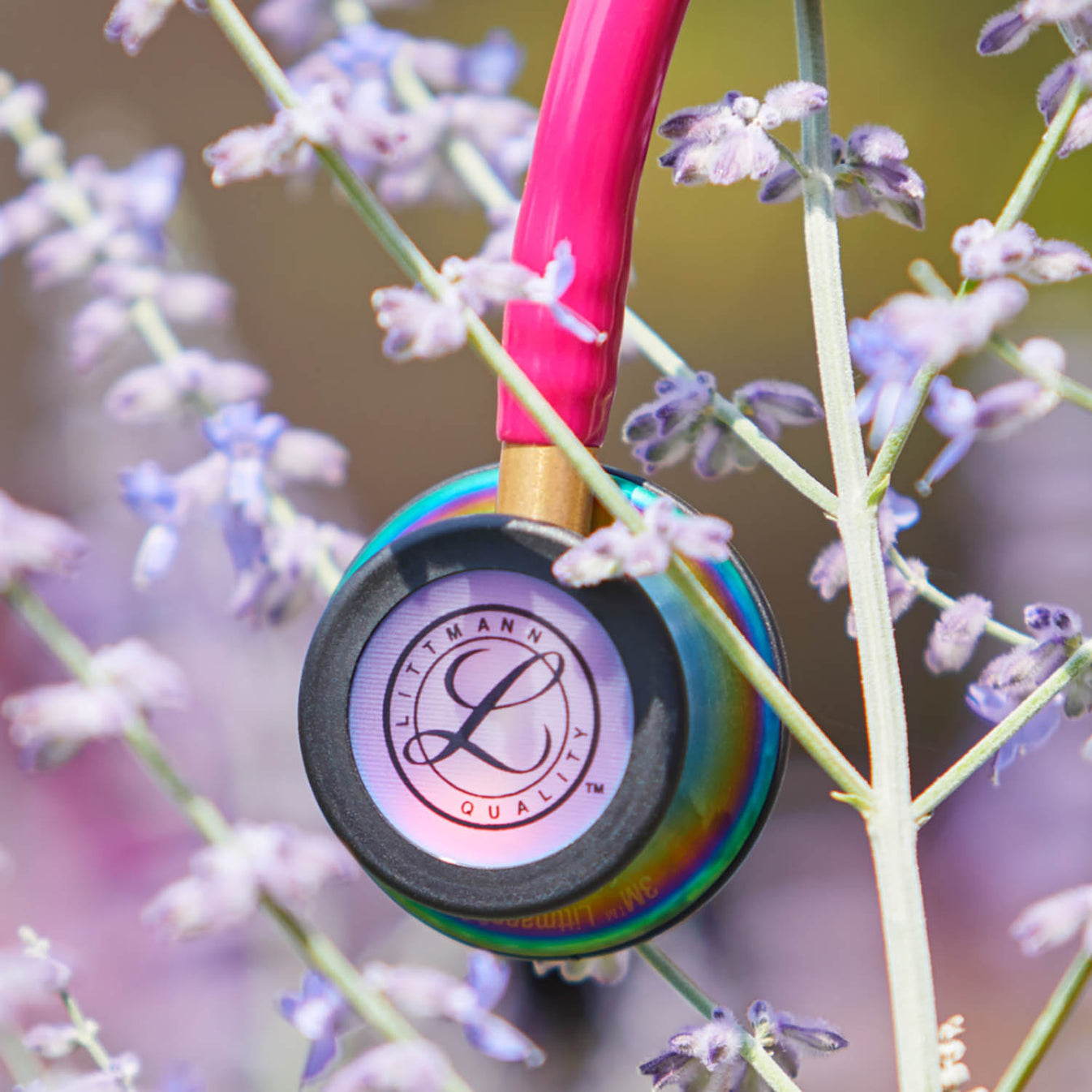 Littmann Classic III Monitoring Stethoscope: Raspberry Rainbow 5806 ...