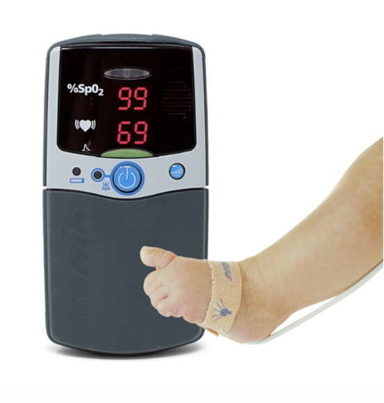 Nonin PalmSAT 2500 Handheld Pulse Oximeter with alarm, Purelight senso ...