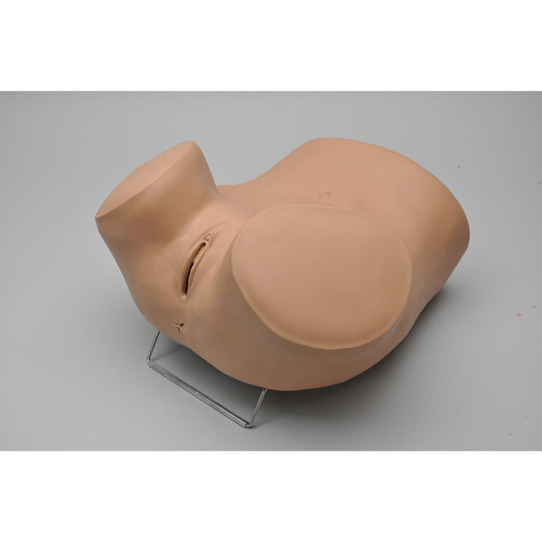 ZOE Gynecologic Simulator, Light – Medisave UK