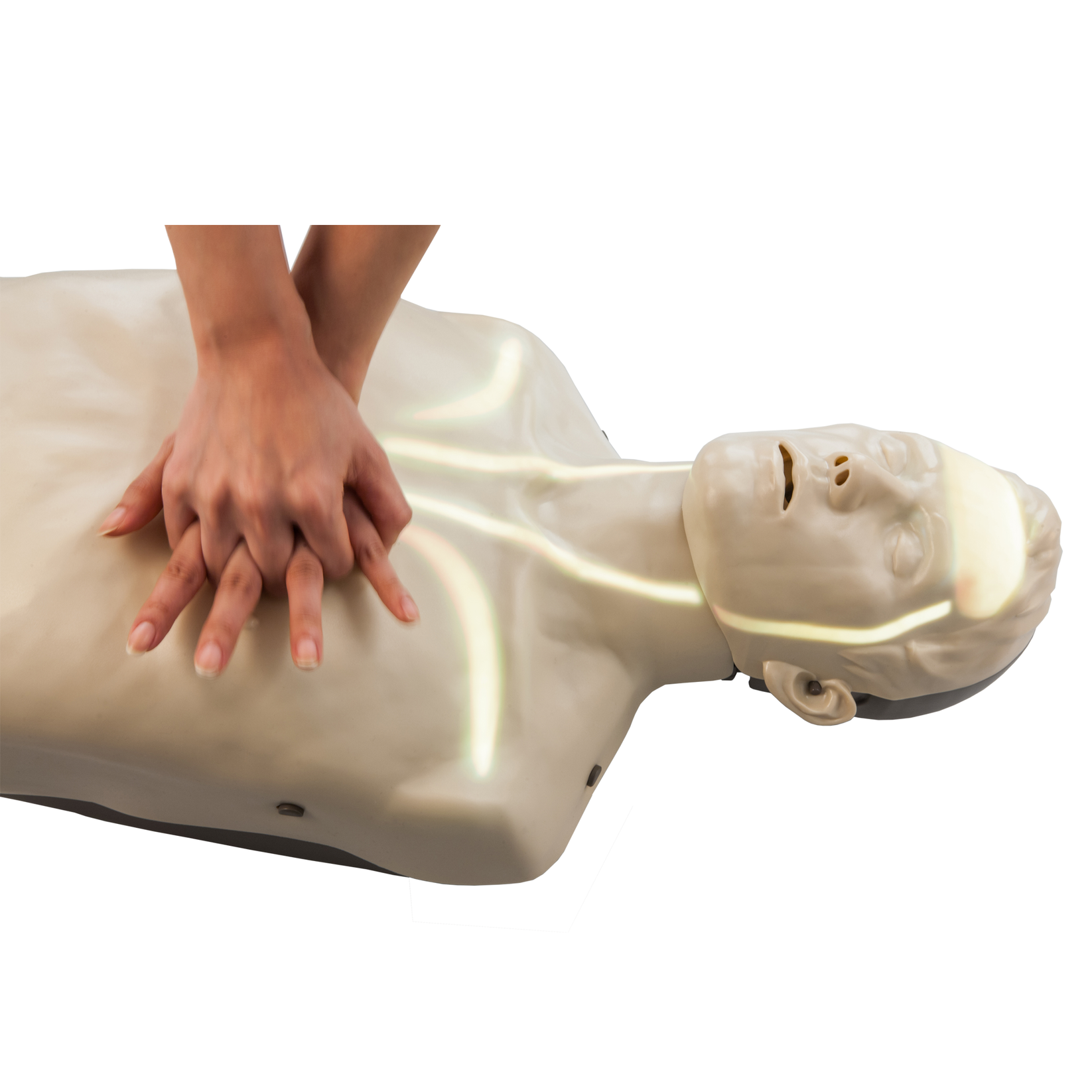 Brayden Adult Advanced Manikin - White Light – Medisave UK