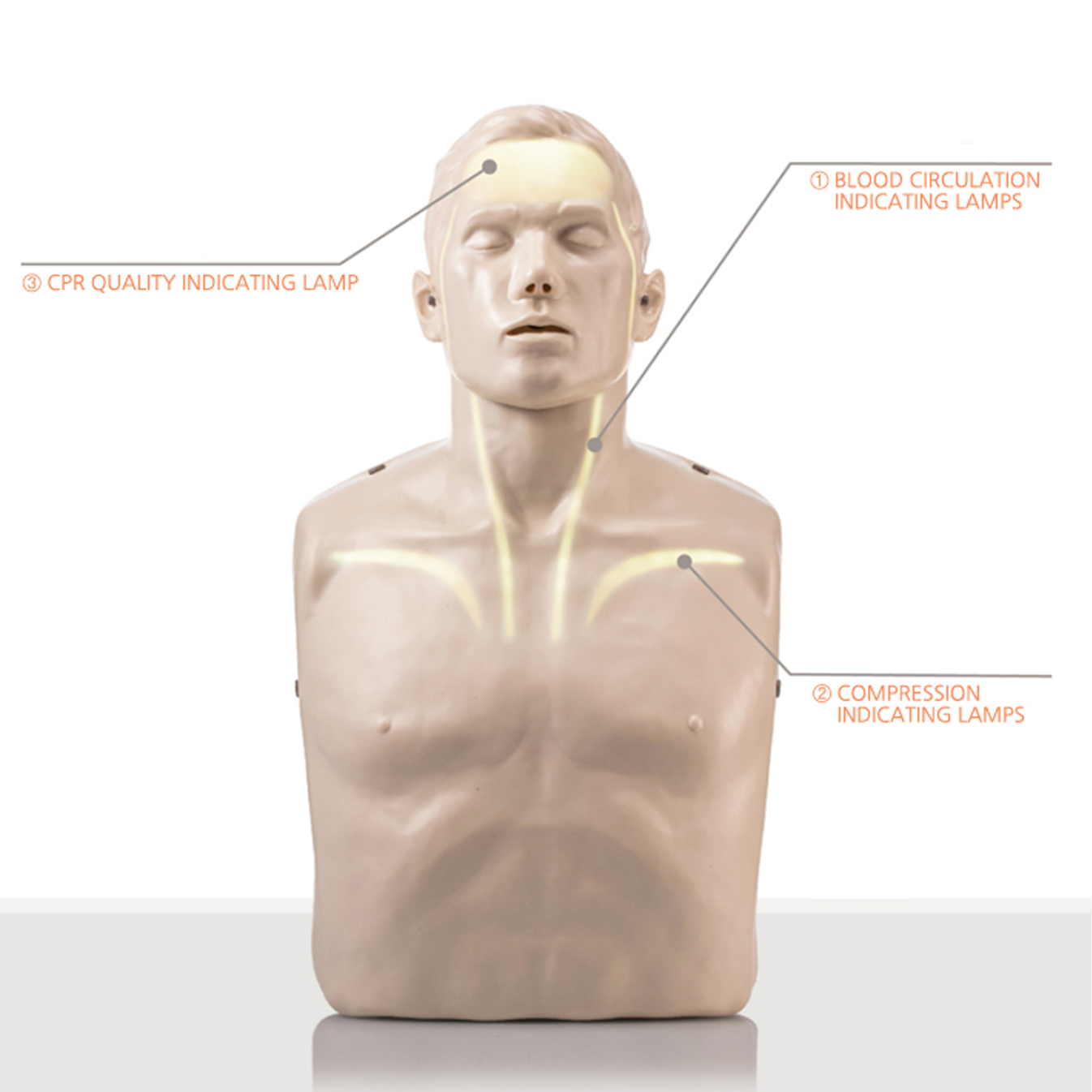 Brayden Adult Advanced Manikin - White Light – Medisave UK