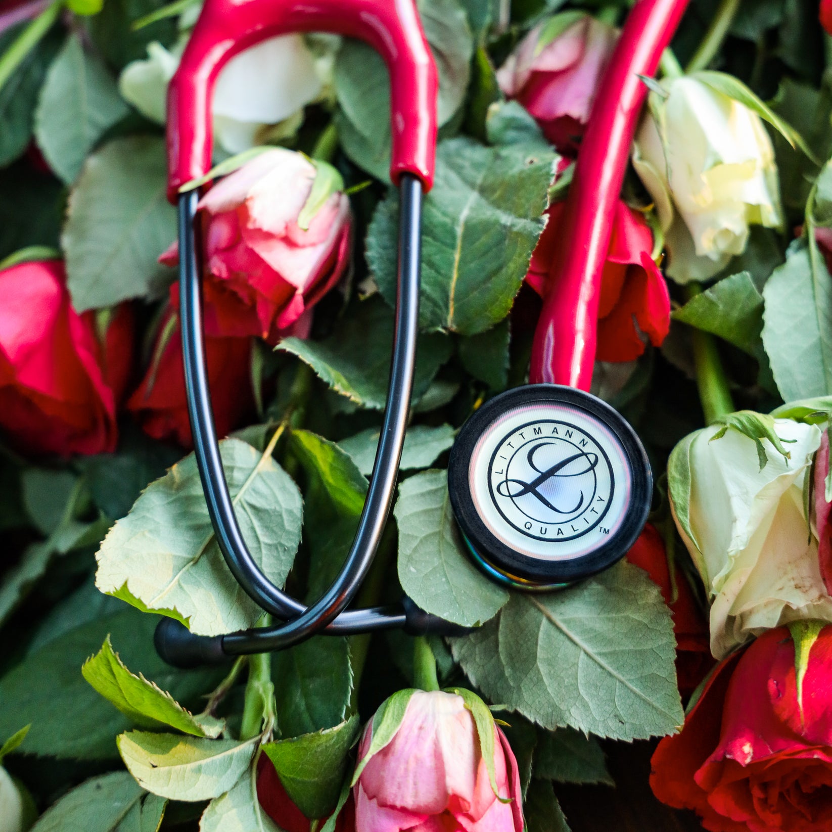 Littmann Classic III Stethoscope: Burgundy - Black Finish 5868 ...