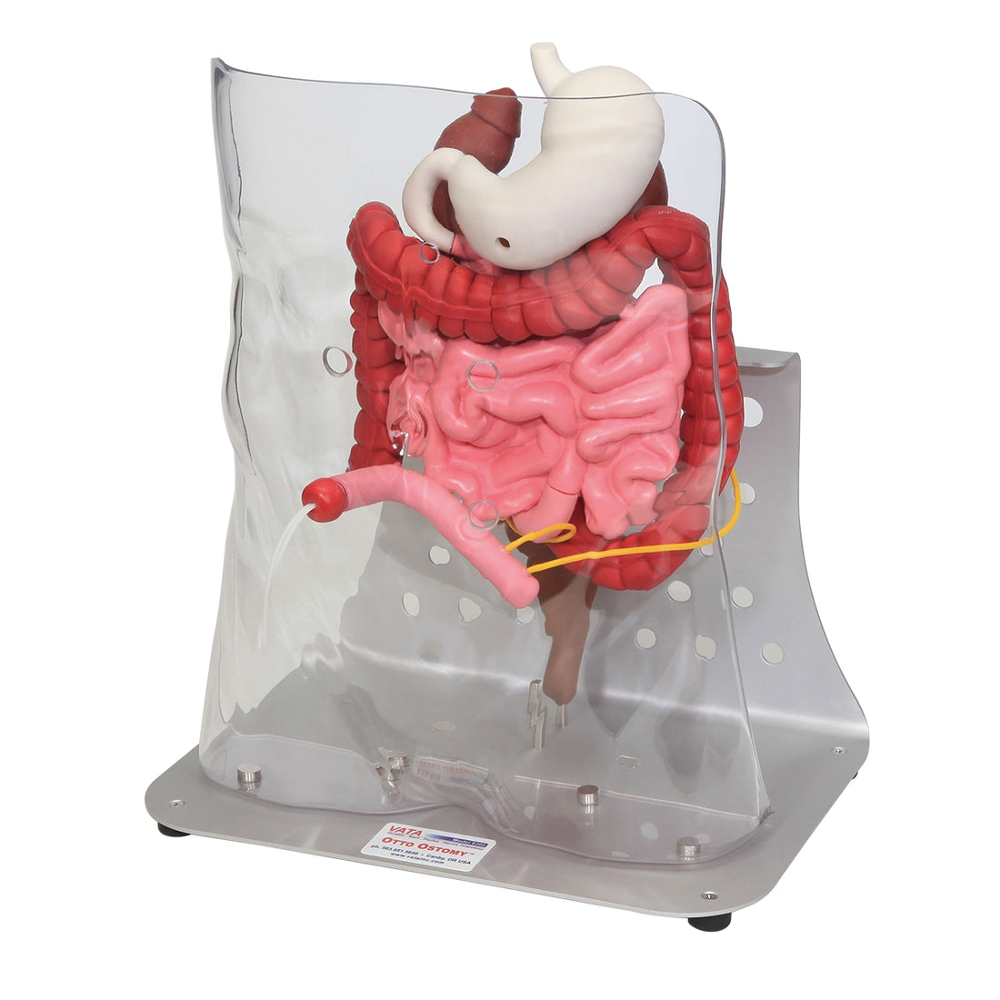 Otto Ostomy™ Advanced Model – Medisave UK