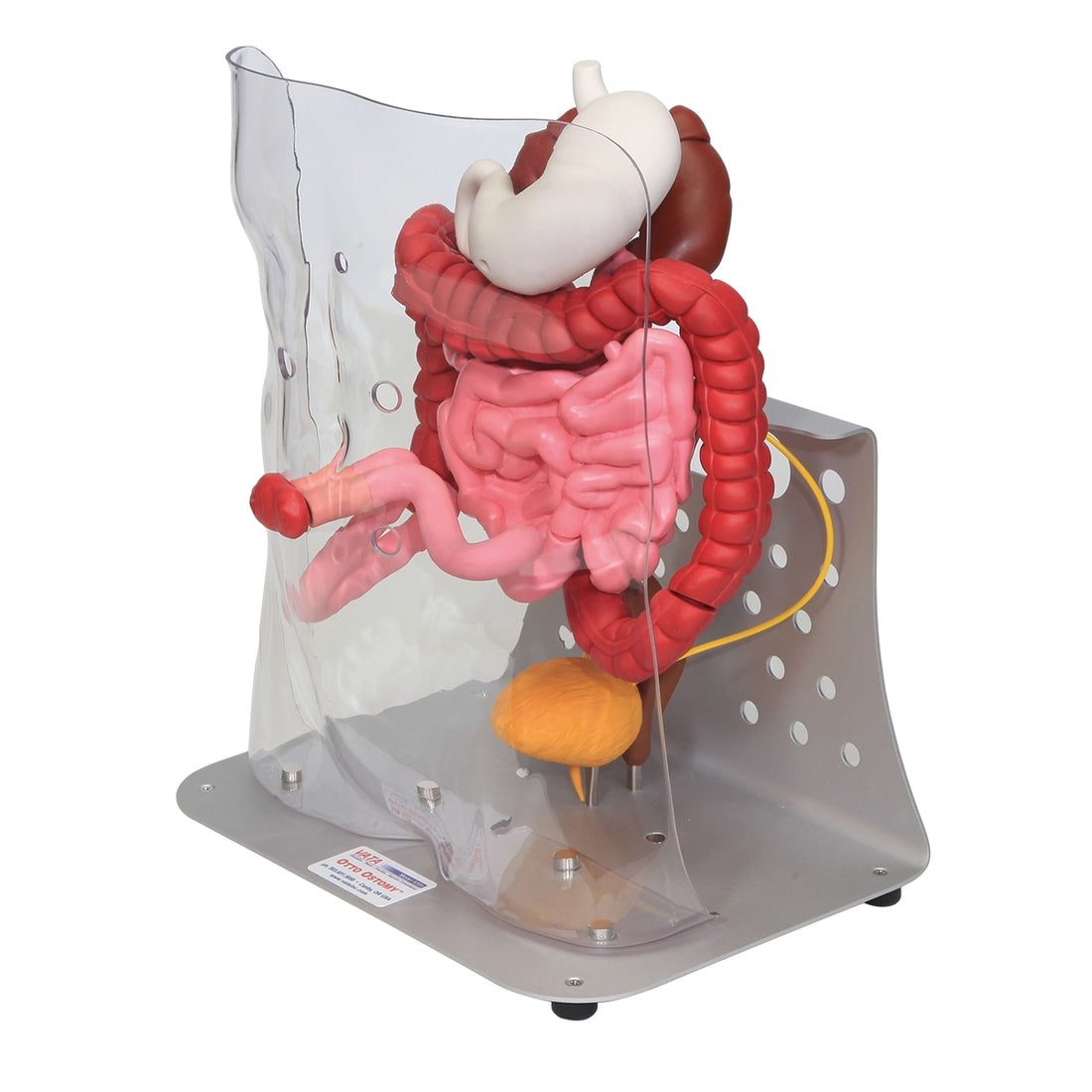 Otto Ostomy™ Advanced Model – Medisave UK
