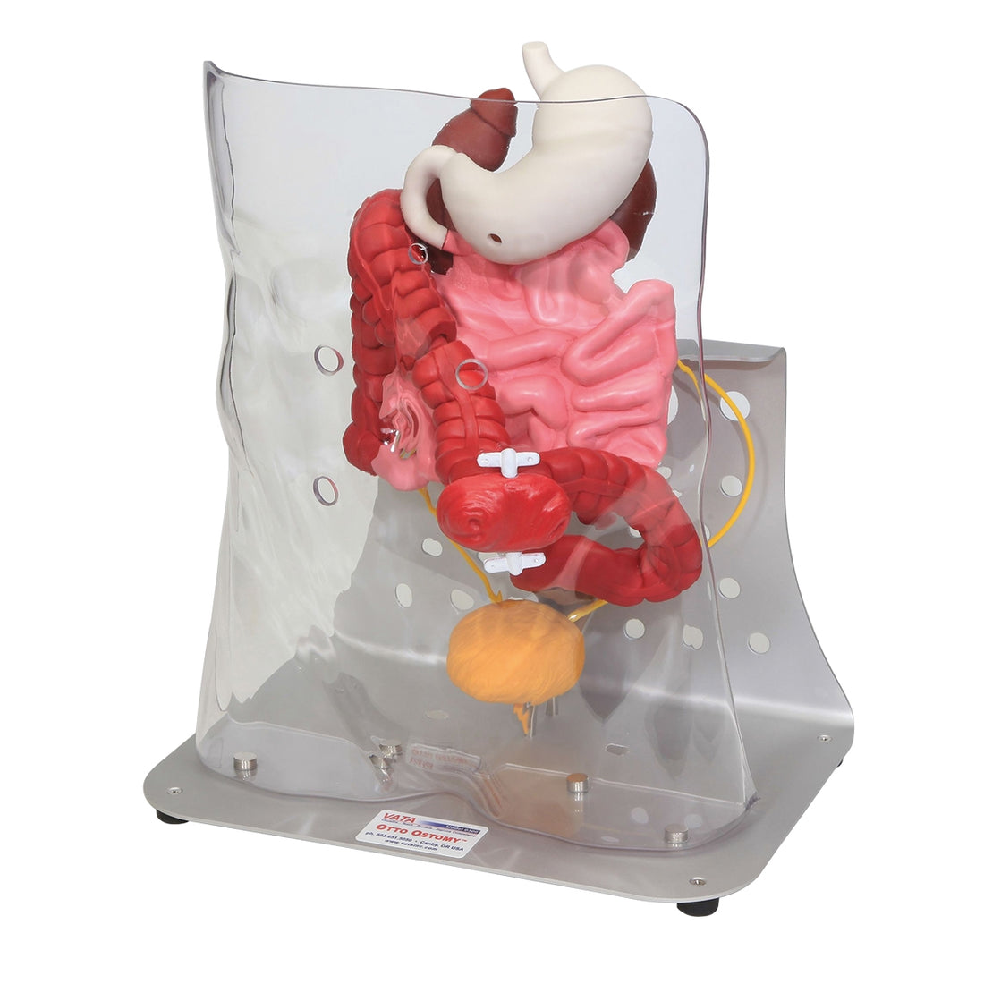 Otto Ostomy™ Advanced Model – Medisave UK