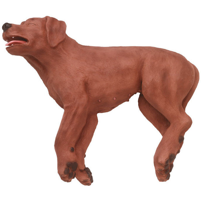 CPR Dog Casper – Medisave UK