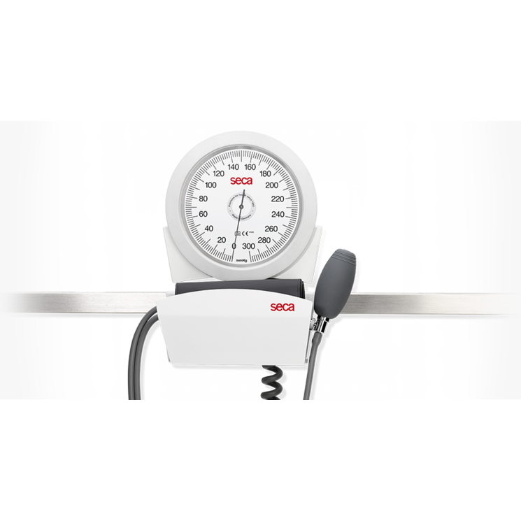 Rail mounting - seca b41 – Medisave UK