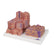 3B MICROanatomy™ Liver Model – Medisave UK
