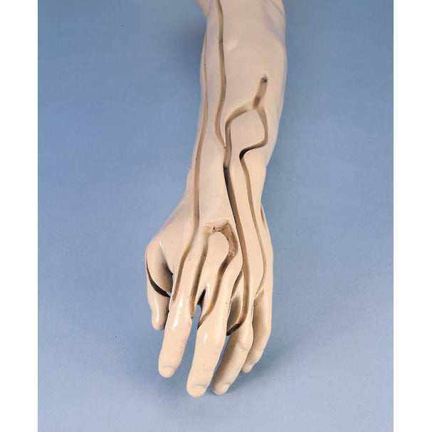 Intravenous Injection Training Arm – Medisave UK